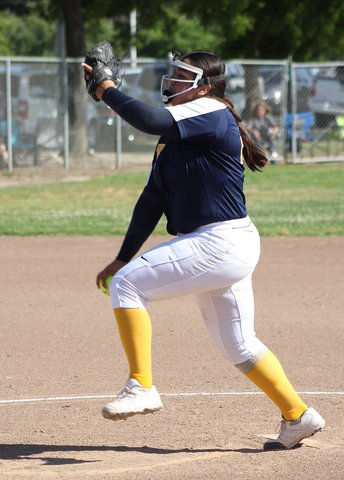 Sheldon edges out Turlock softball in one-run game - Turlock Journal