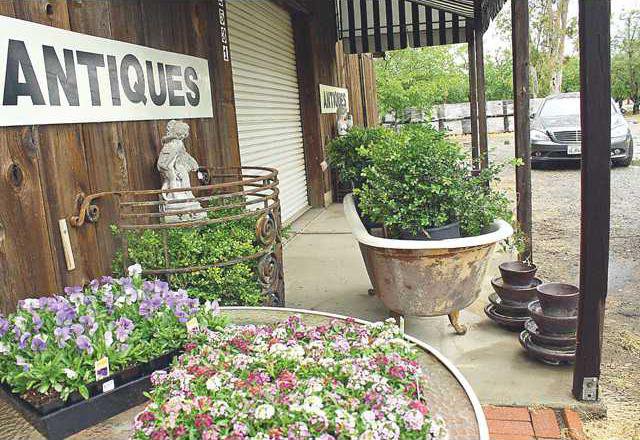 rustic ranch manteca