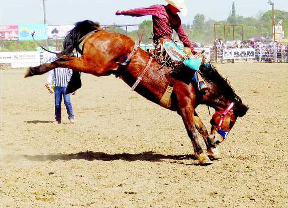 PRCA Invades Community Competition Brings Top Cowboys To Annual Oakdale ...