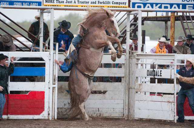 Behind The Chute - Team Effort Makes Rodeo Go Round - Oakdale Leader