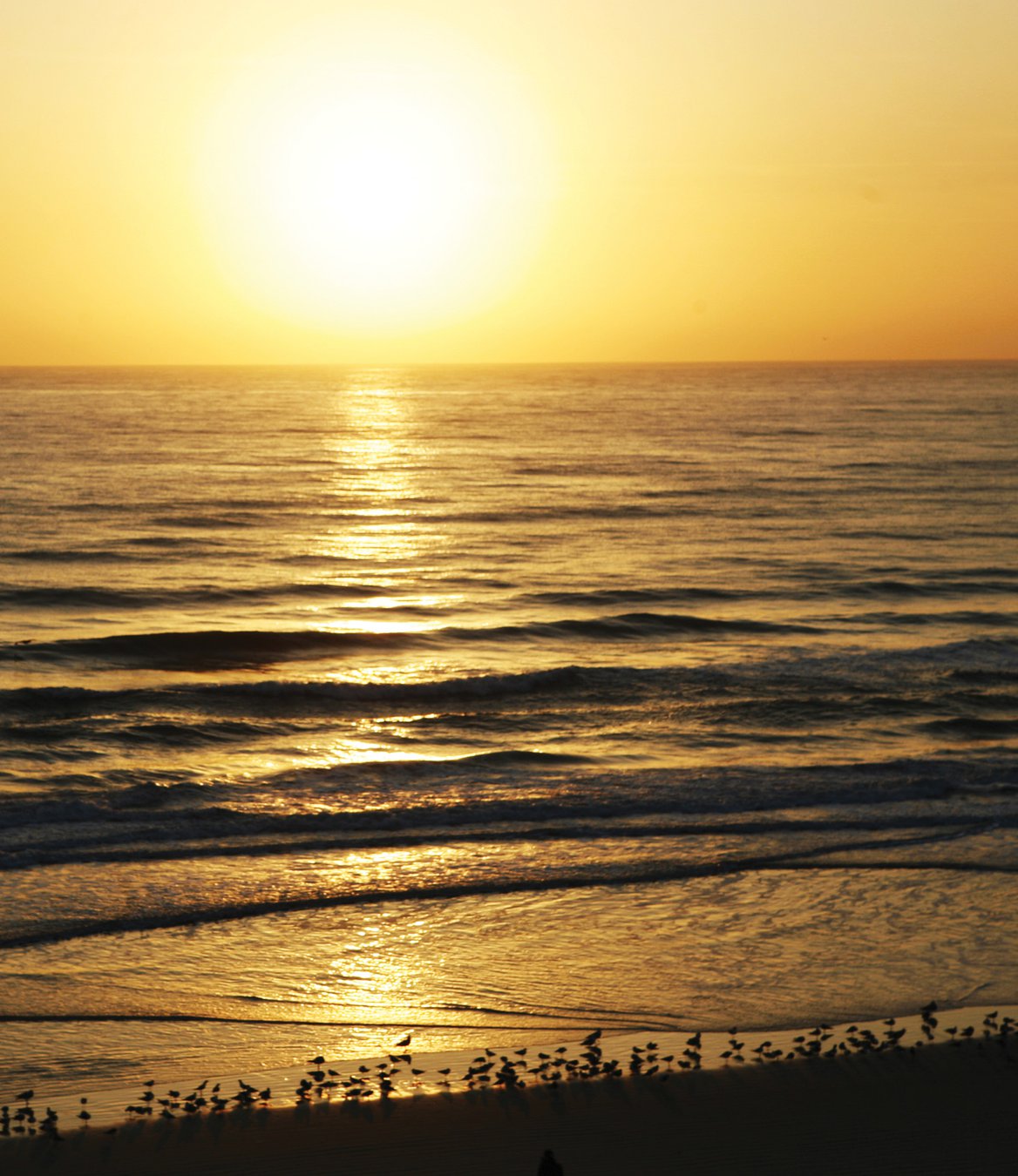 KENNETH C. COOK, JR. - Escalon Times