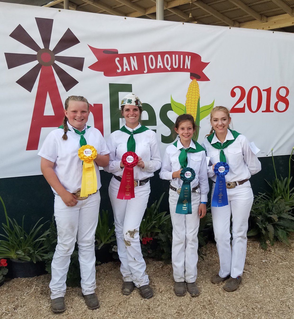 Escalon 4-H Exhibitors Rock San Joaquin AgFest - Escalon Times