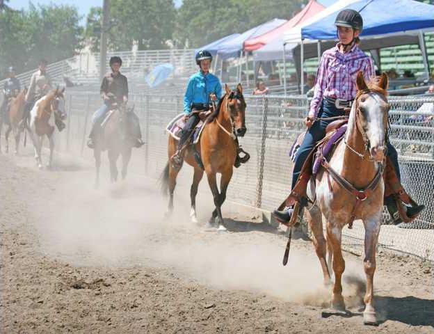 Horsing around at the county fair - Turlock Journal
