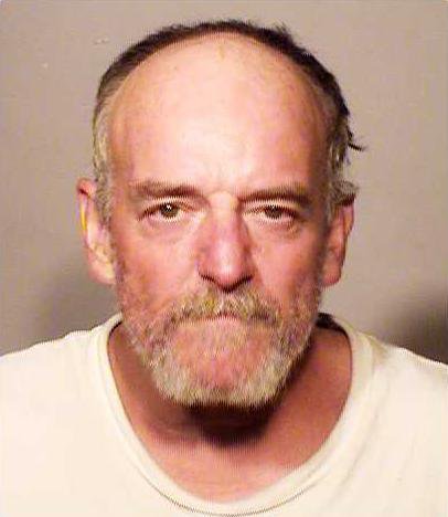 Man suspected of punching dog in Turlock park - Turlock Journal