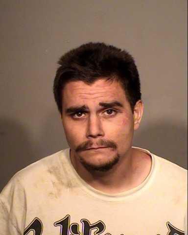 Officers hit during arrest - Turlock Journal