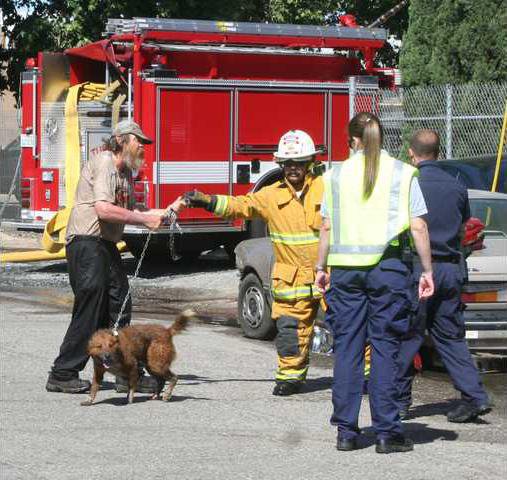 Massive fire burns through downtown industrial area - Turlock Journal