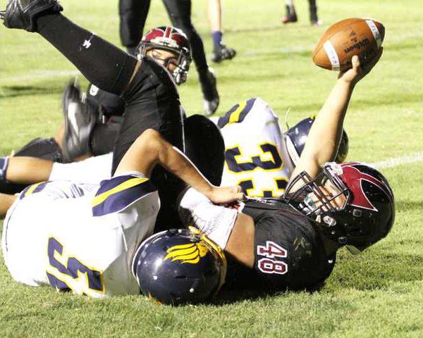 Hawks still perfect - Turlock Journal