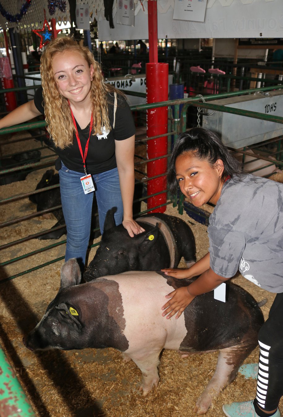 Raising FFA, 4-H animals for Fair taught invaluable experiences - Ceres ...