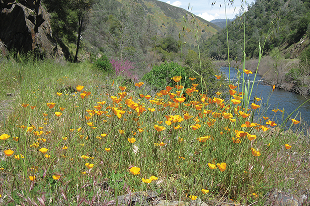 Hiking the wild side of Spring - 209 Magazine