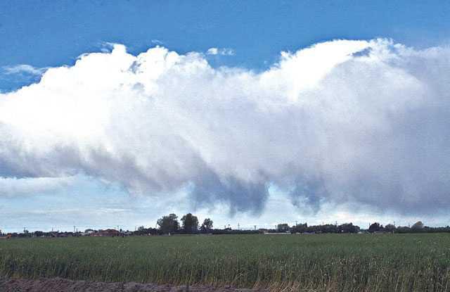 Breezy weather causes no major problems - Manteca Bulletin