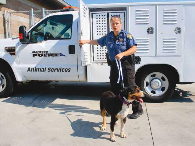 DOGGONE BUSY DAY - Manteca Bulletin