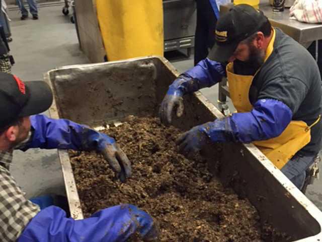 MATANCA TRADITION - Manteca Bulletin