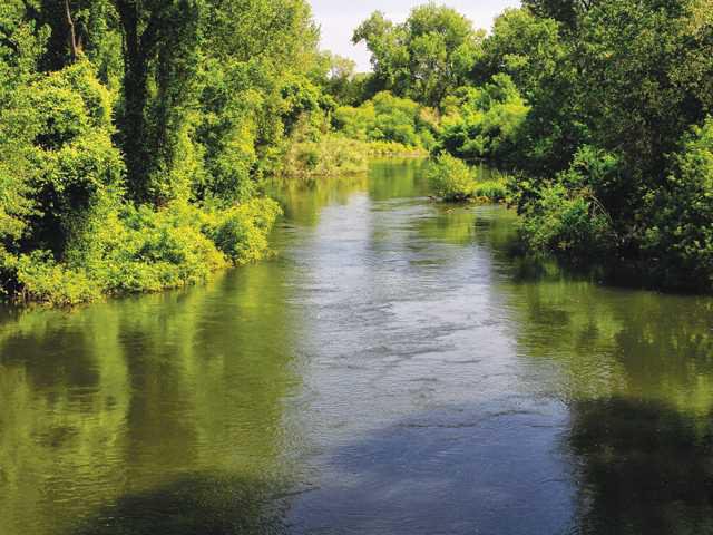 HIGHER FISH FLOWS - Manteca Bulletin