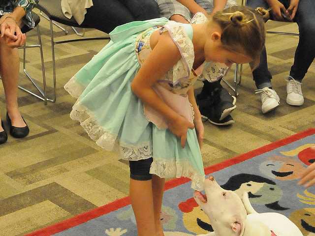 RIPON PUPPY LOVE - Manteca Bulletin