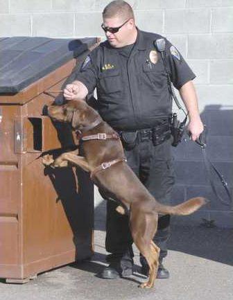 Officer reads to McParland students - Manteca Bulletin