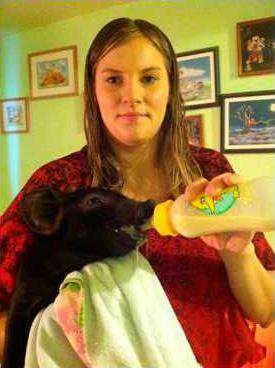 Bringin home the bacon - Manteca Bulletin