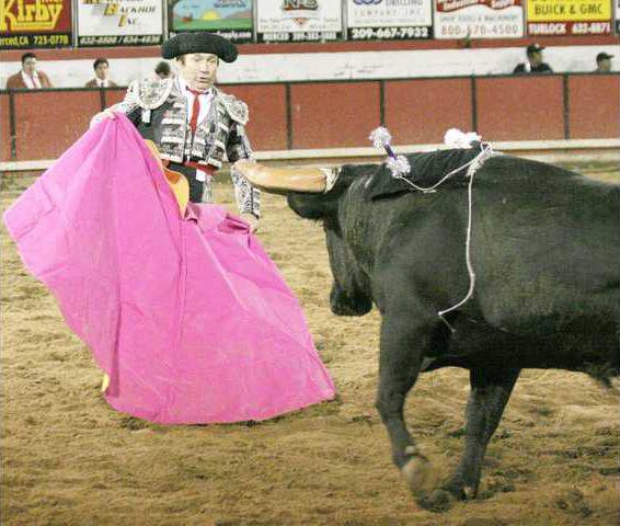 bullfighting techniques