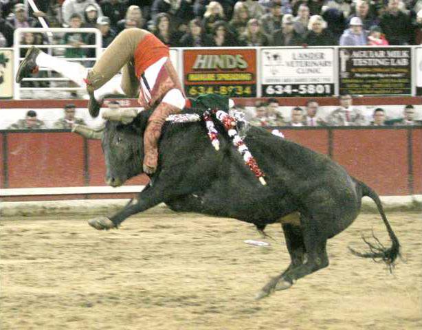 Bullfights celebrate Portuguese tradition - Turlock Journal