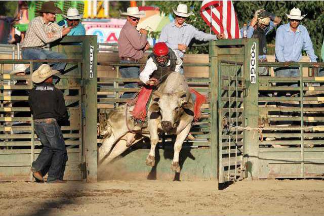 Attendance dips at county fair - Turlock Journal