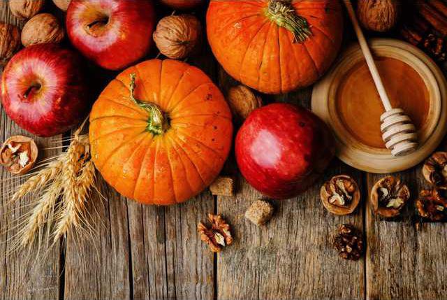 Five Fun Facts About The Month Of November - Escalon Times