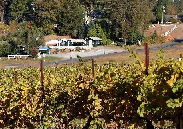 APPLE HILL: A SWEET PICK A day trip to an apple lovers paradise ...