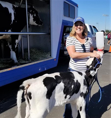 Dairy Council, cows visit Neil Hafley School - Manteca Bulletin