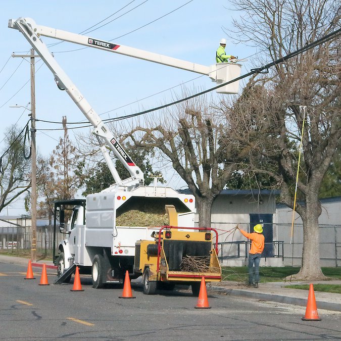 Manteca secures on-call tree service for $600,000 over three-year ...