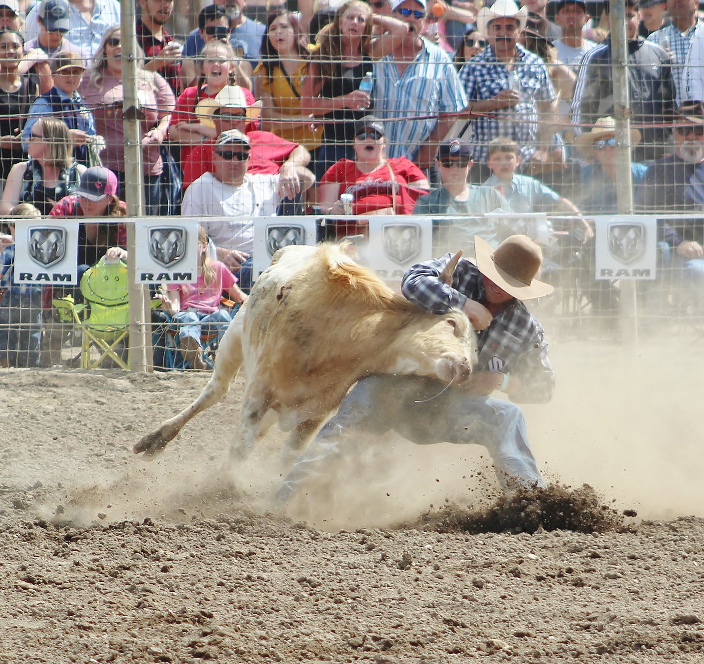 Hoskins Takes All-Around Title At Annual Oakdale Rodeo - Oakdale Leader