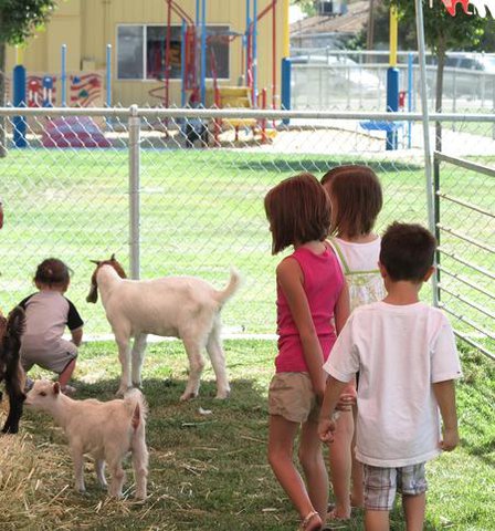 Hughson Fruit & Nut Festival will celebrate ag - Ceres Courier