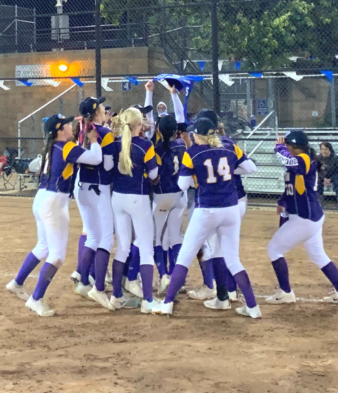 Lady Cougars ‘Three-Peat’ As Section Softball Champions - Escalon Times