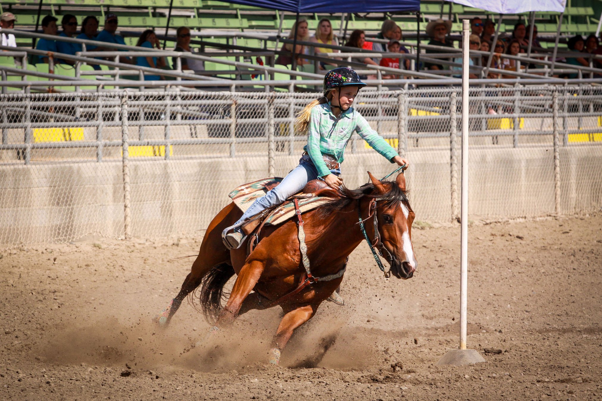 Fairgrounds Hosting Multiple Pre-Fair Horse Events - Oakdale Leader