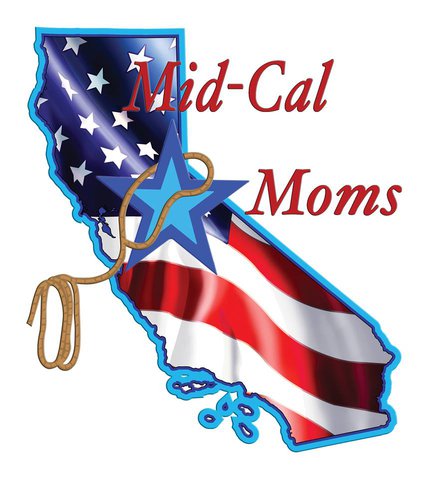 Mid-Cal Blue Star Moms Mark Fifth Anniversary - Oakdale Leader