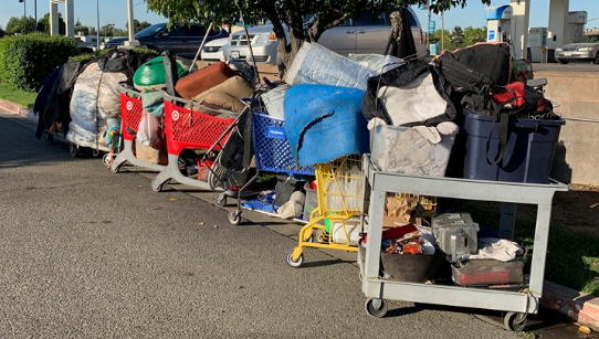 Homeless woman links 7 carts together - Manteca Bulletin