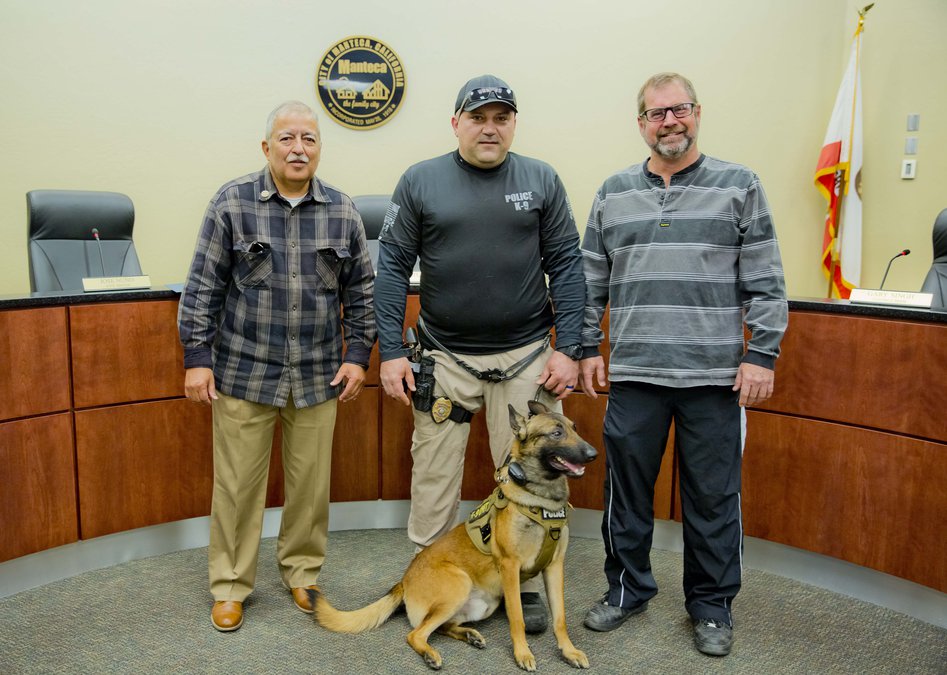 ‘Rex’ officially sworn in as part of Manteca Police canine unit ...