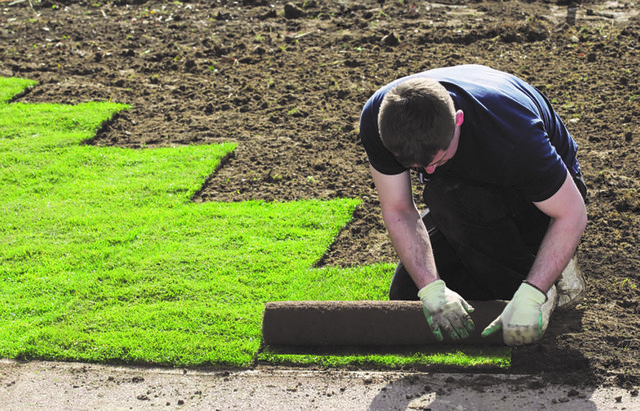 Sod Vs. Seed: Which Is Your Best Option? - Oakdale Leader