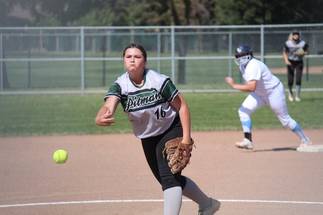 Pitman softball boasts power in hot start; Turlock’s lineup young but ...