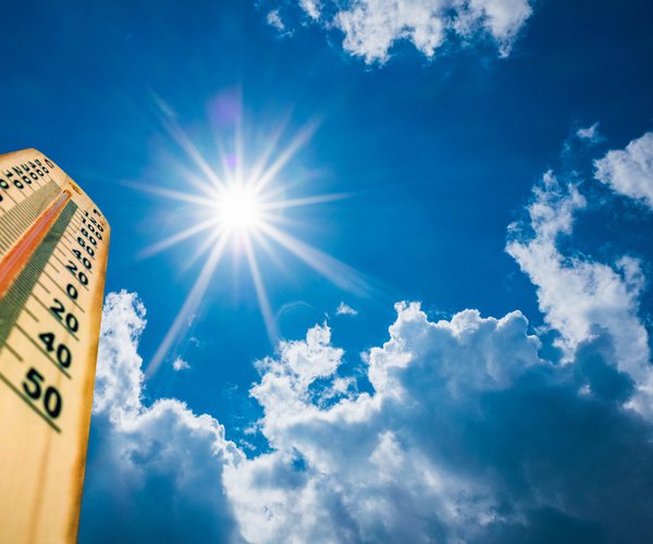 Summer Heat Facts And Safety - Escalon Times