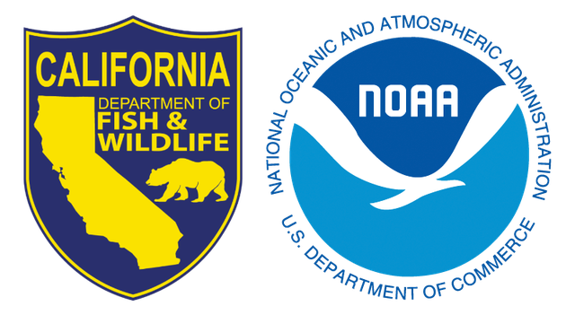Voluntary Drought Initiative Designed To Protect Fish - Oakdale Leader