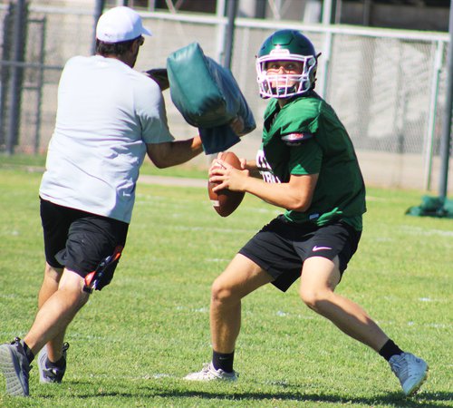 PREVIEW: Bigger, badder Buffaloes - Manteca Bulletin