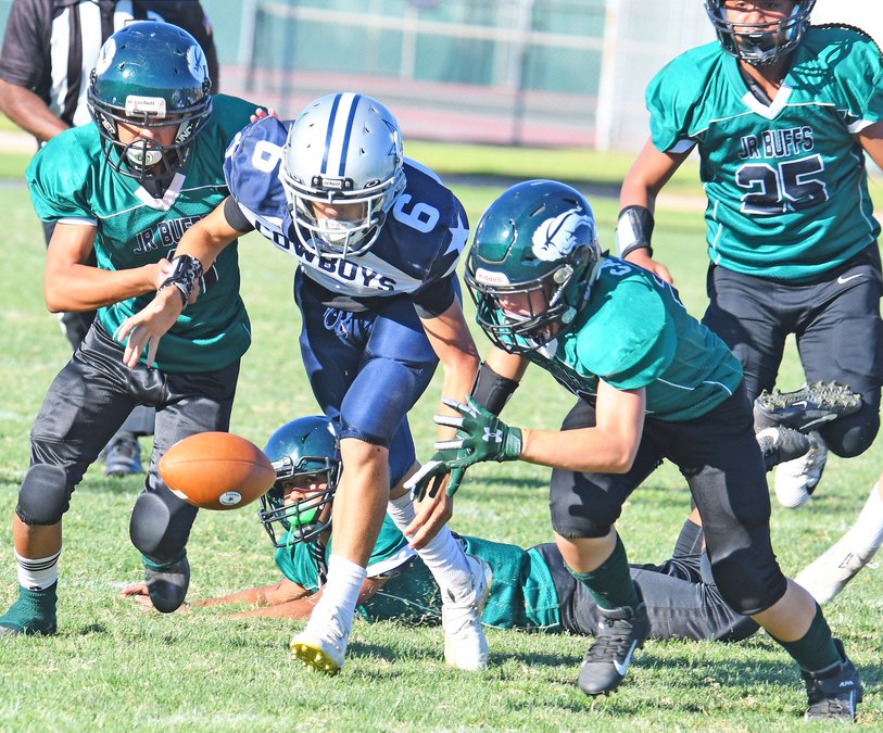 Manteca Cowboys tame rival Jr. Buffaloes - Manteca Bulletin