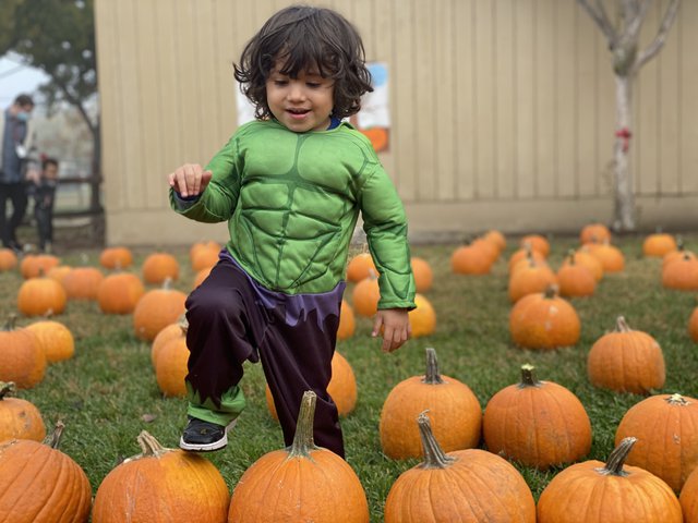 PUMPKIN FUN - Turlock Journal