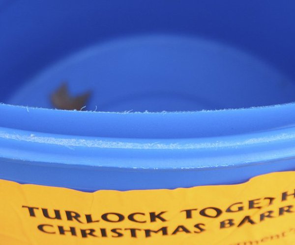 Assyrian Civic Club celebrates its long history in Turlock - Turlock ...