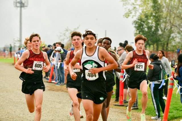 Pitman cross country star makes school history - Turlock Journal