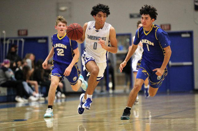 T’WOLVES MAUL LIONS - Manteca Bulletin
