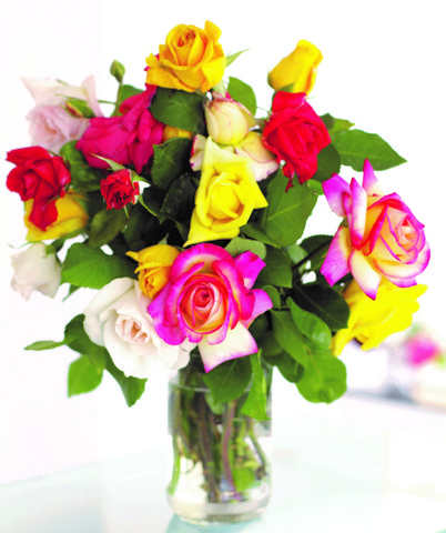 Norma Martinez - Westside Connect