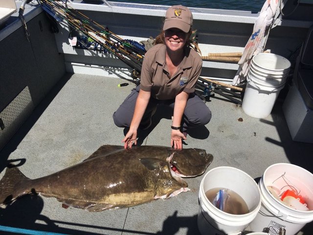 Recreational Pacific Halibut Season Dates Considered - Riverbank News