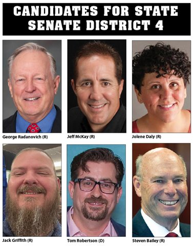 Candidates line up to run in new state senate district - Ceres Courier