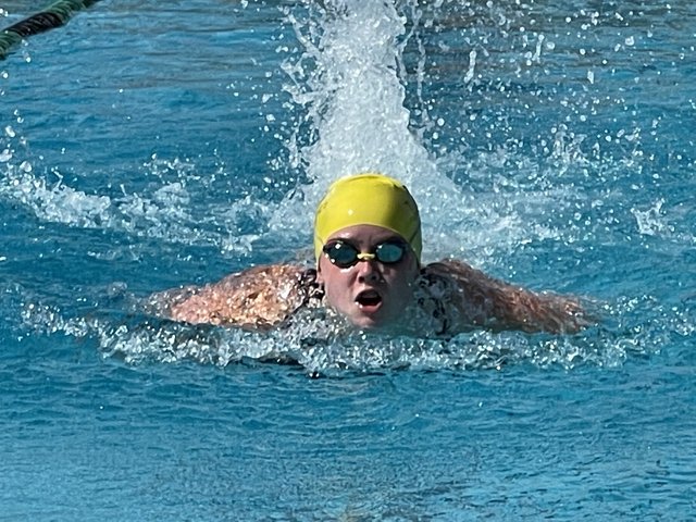 Turlock swim sweeps Pitman in final league meet - Turlock Journal