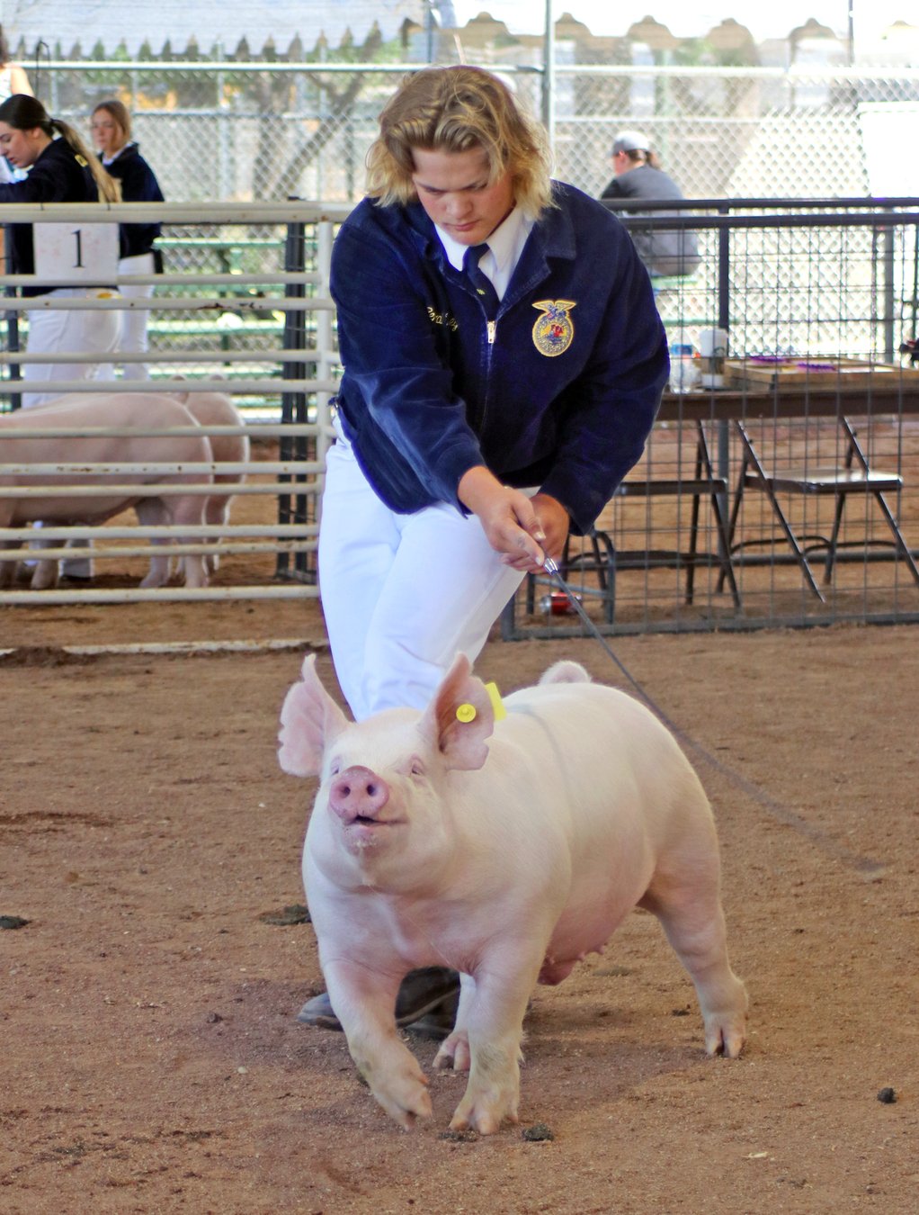 FFA, 4-Hers showing animals at the Fair - Ceres Courier