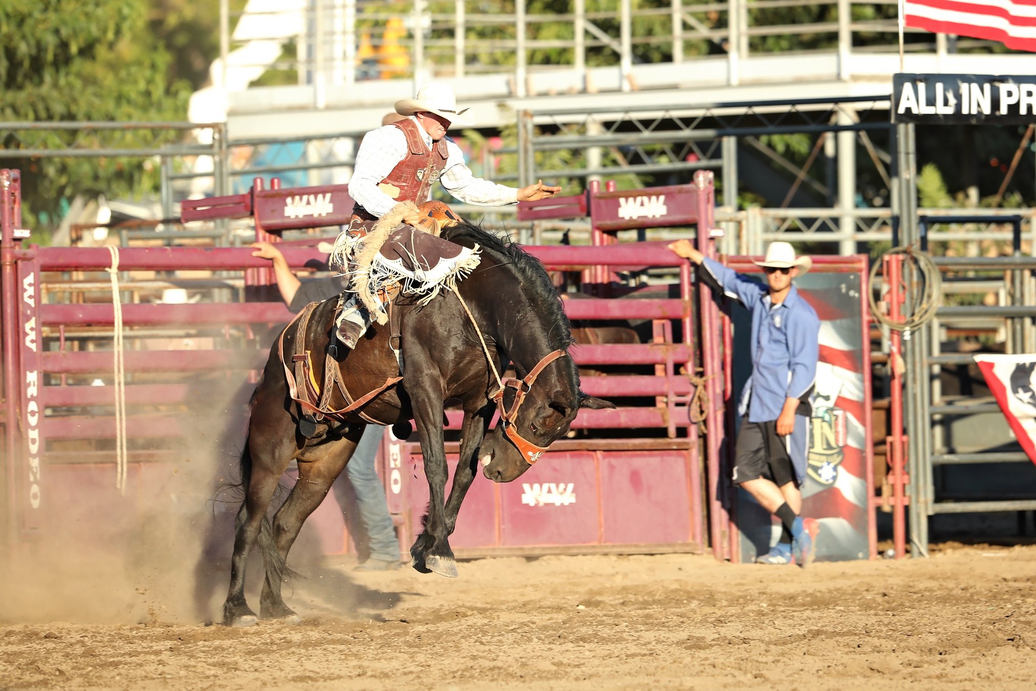 Local cowboys, cowgirls shine in return of pro rodeo at Fair - Turlock ...